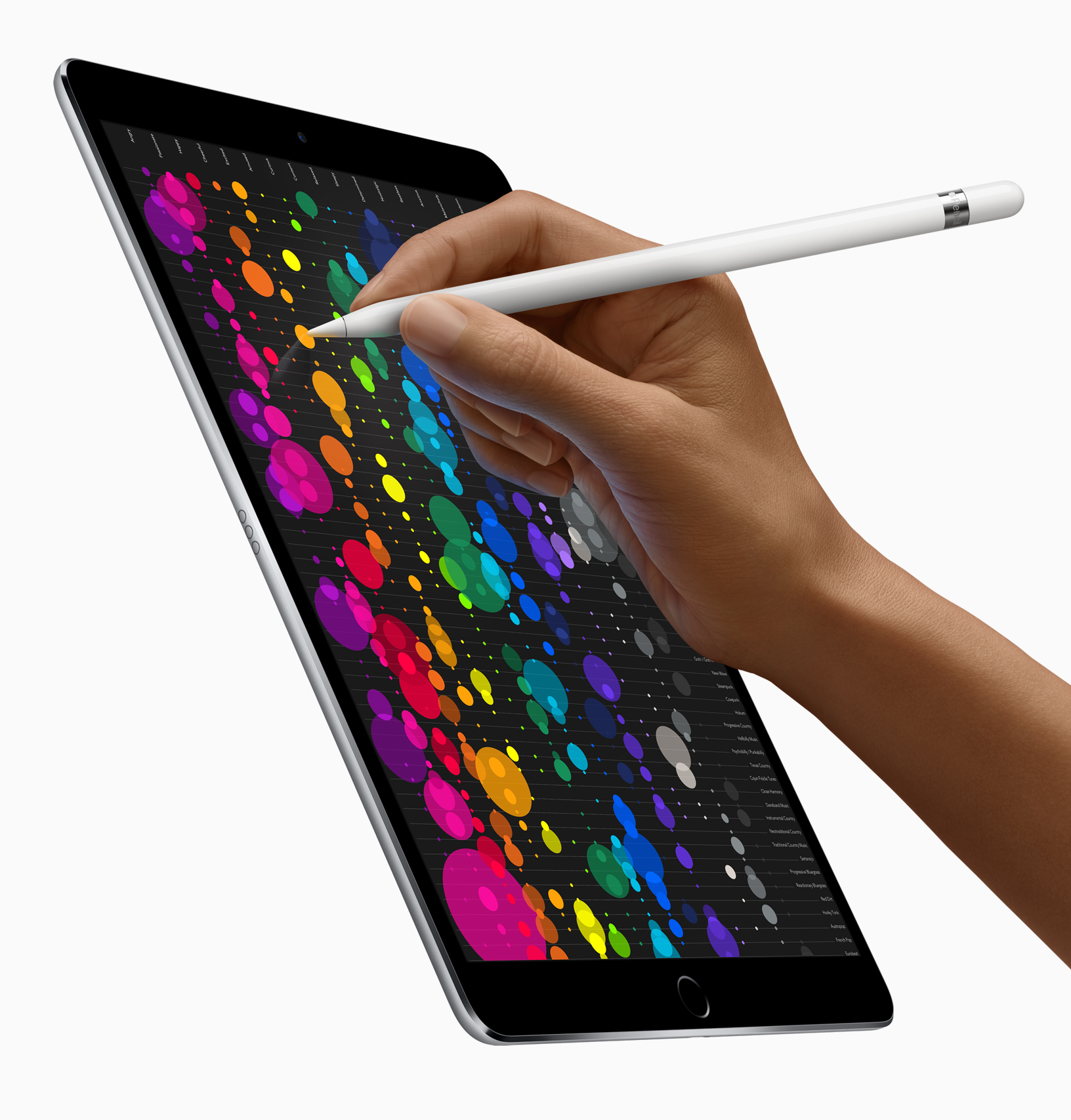 Apple 12.9-Inch iPad Pro (2nd generation) with Wi-Fi - 512GB - Space ...