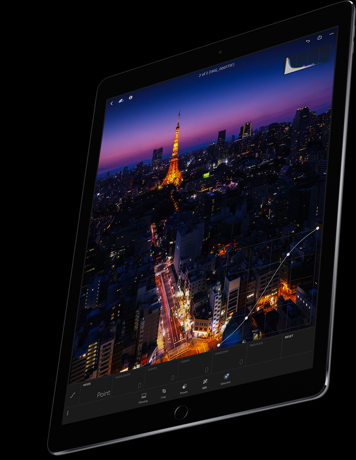 Apple 12.9-Inch iPad Pro (2nd generation) with Wi-Fi - 512GB - Space ...