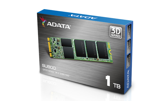 ADATA SU800NS38 1TB M.2 SATA 2280 SSD Read up to 550MB/s : Write up to ...