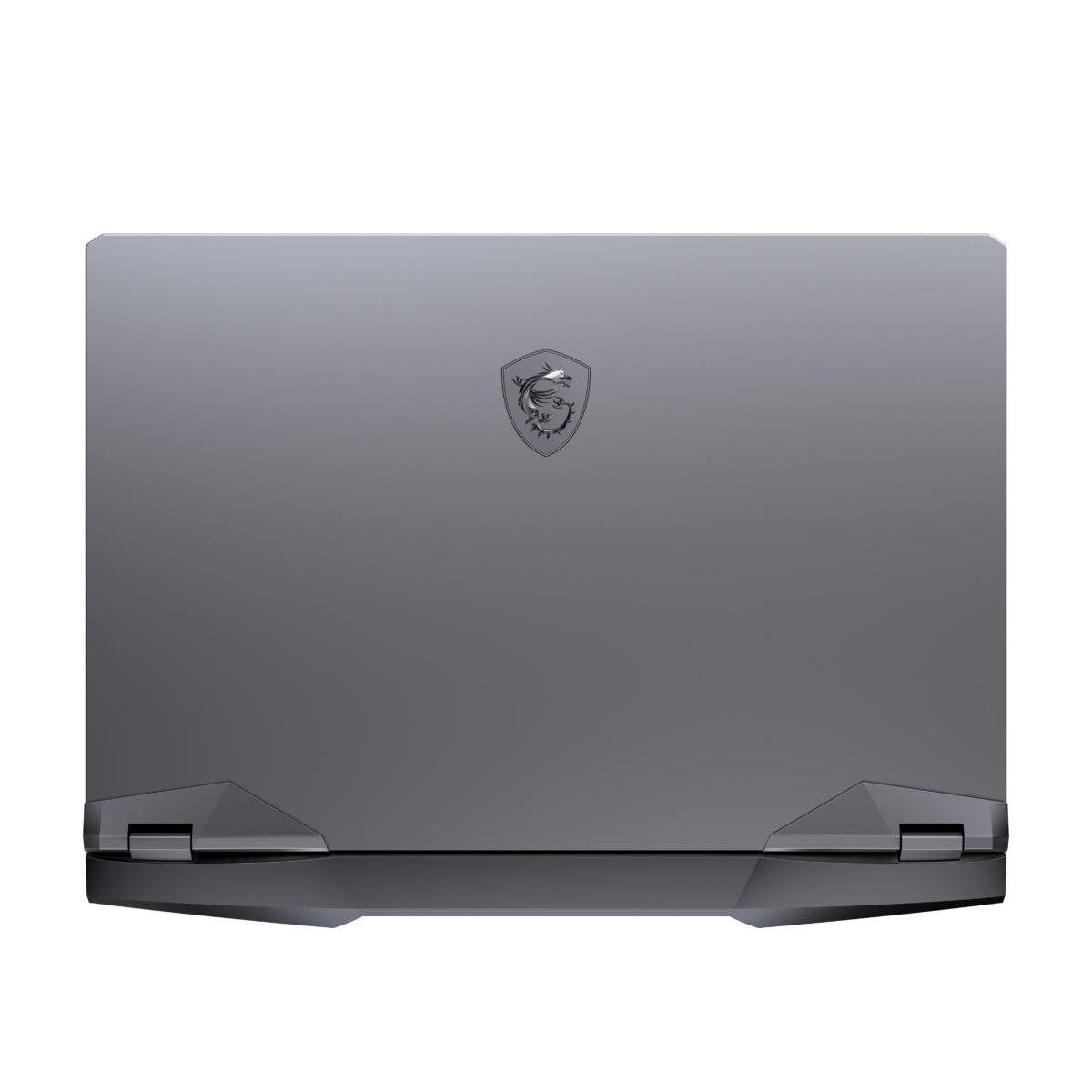 MSI GE66 RAIDER GAMING Core™ i7-10750H 1TB SSD 32GB 15.6" (1920x1080 ...